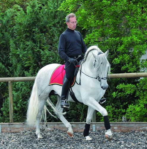 Der Sitz des Reiters formt das Pferd in der Bewegung : Feine Hilfen